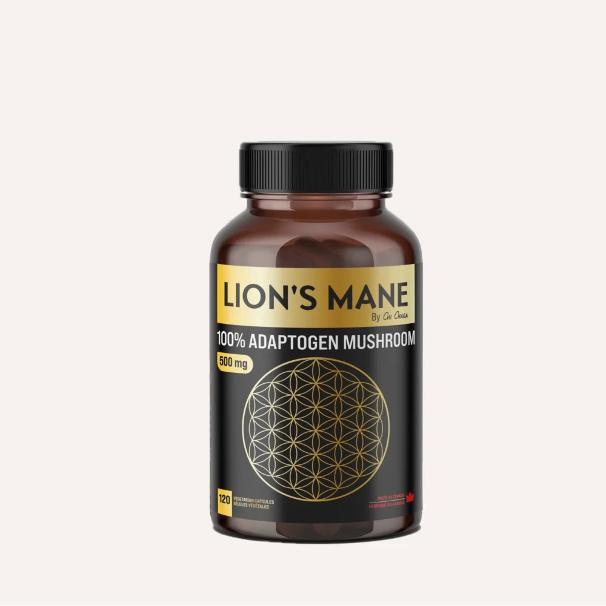 Capsules Champignons Lion's Mane 120 caps – Aventures Tropicales